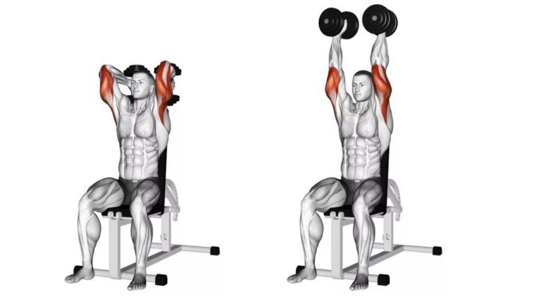 Overhead Dumbbell Extension là gì? Cách tập Overhead Dumbbell Extension ...